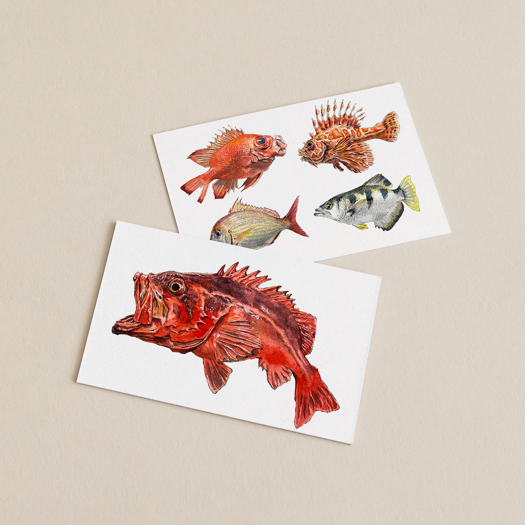 PNG Digital Bundles Fish, Downloadable Water Color Illustration, PNG ...