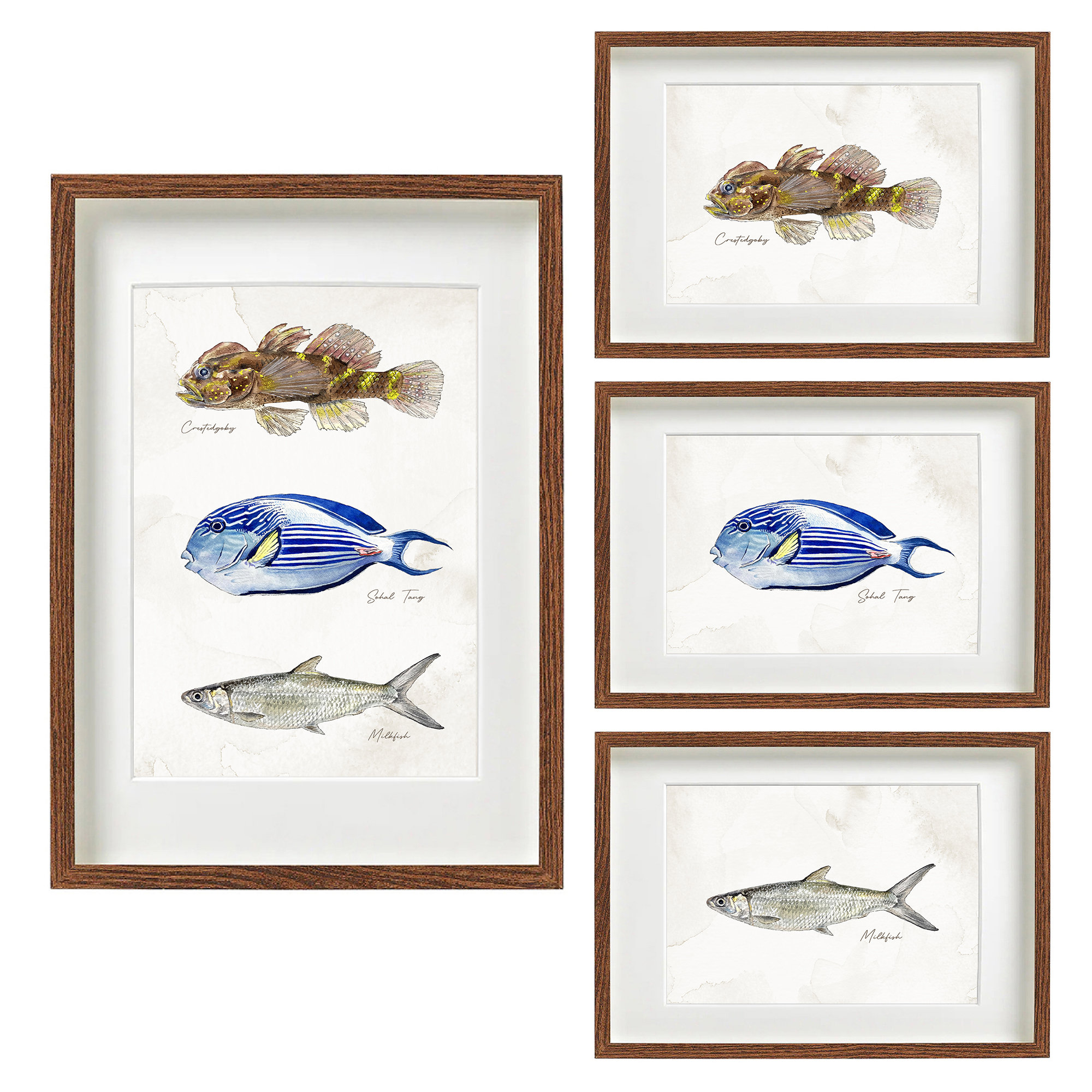 PRINTABLE Fish Watercolor Print, Ocean Fish, Vintage Poster, Fish ...