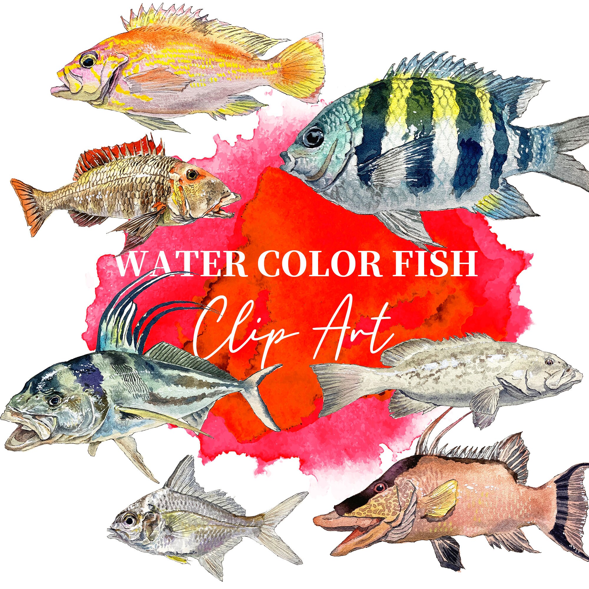PNG Digital Bundles Fish, Downloadable Water Color Illustration, Ocean ...