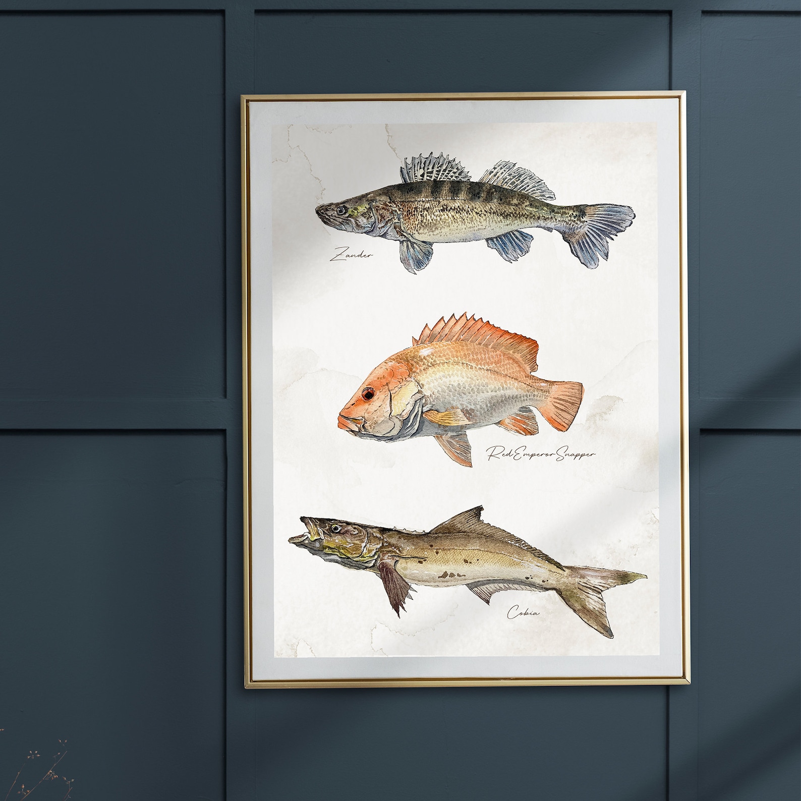 PRINTABLE Fish Watercolor Print, Small Frame Only, Vintage Poster, Fish ...