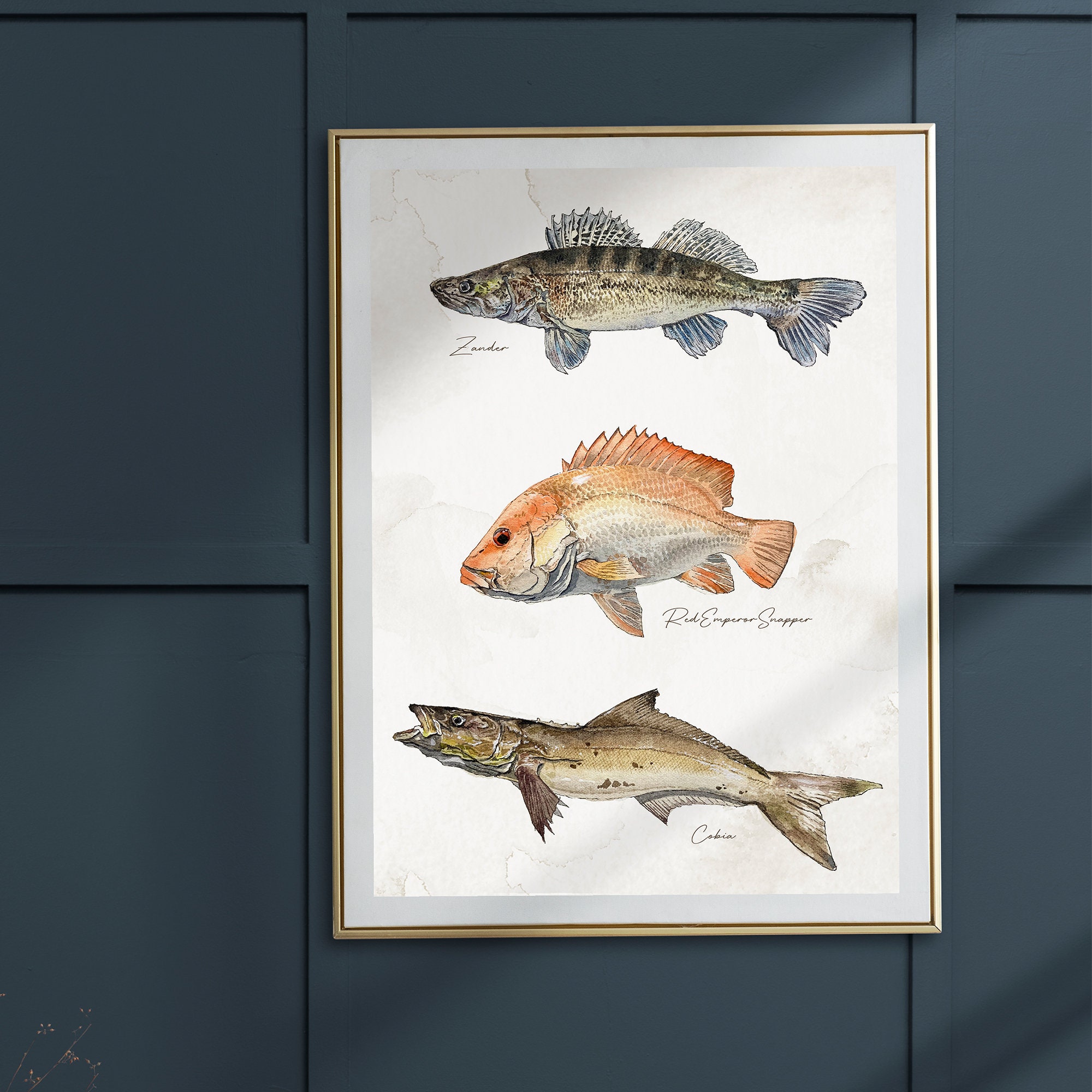 PRINTABLE Fish Watercolor Print, Small Frame Only, Vintage Poster, Fish ...