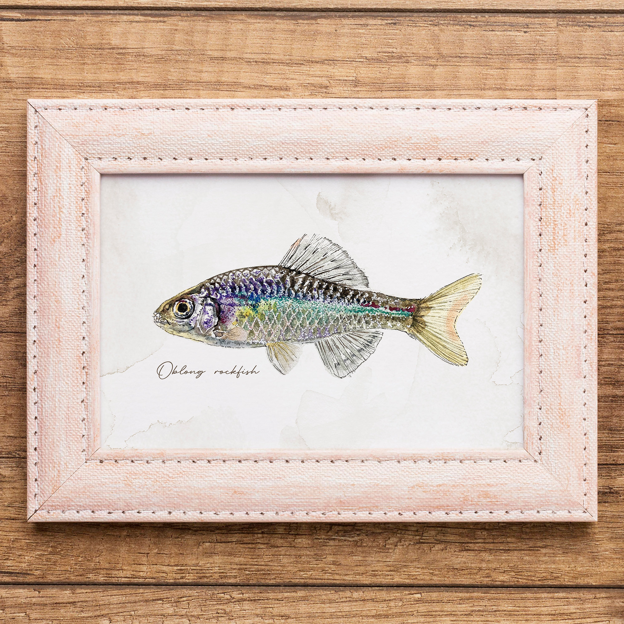 PRINTABLE Fish Watercolor Prints, Fishing, River Fish, Vintage Poster ...
