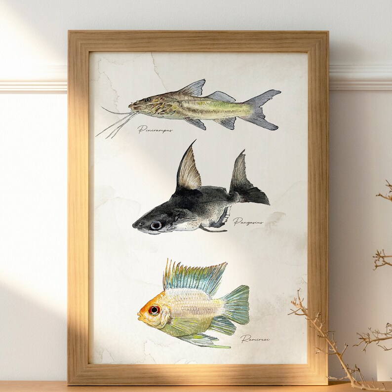 PRINTABLE Fish Watercolor Print, River Fish, Vintage Poster, Fish ...