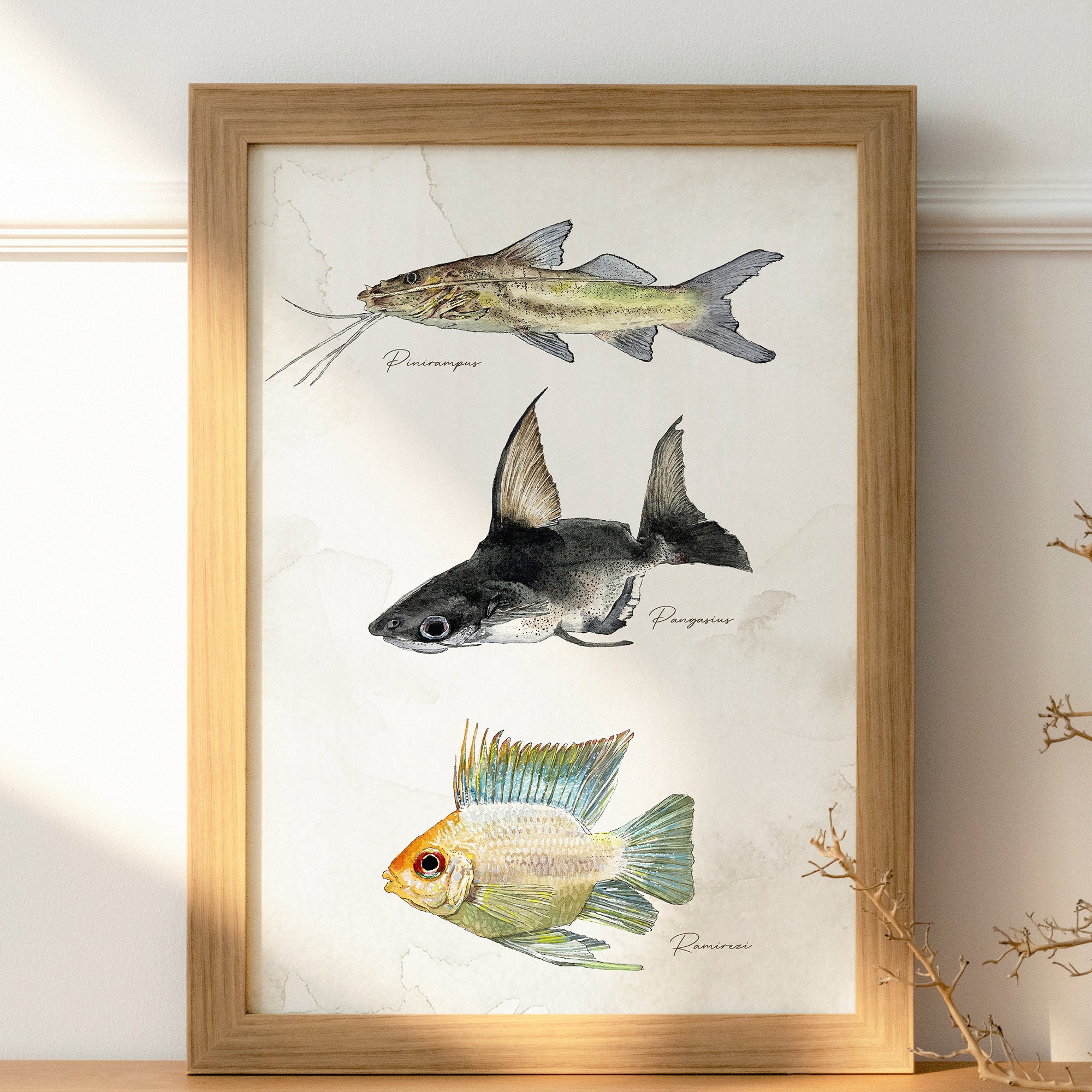 PRINTABLE Fish Watercolor Print, River Fish, Vintage Poster, Fish ...