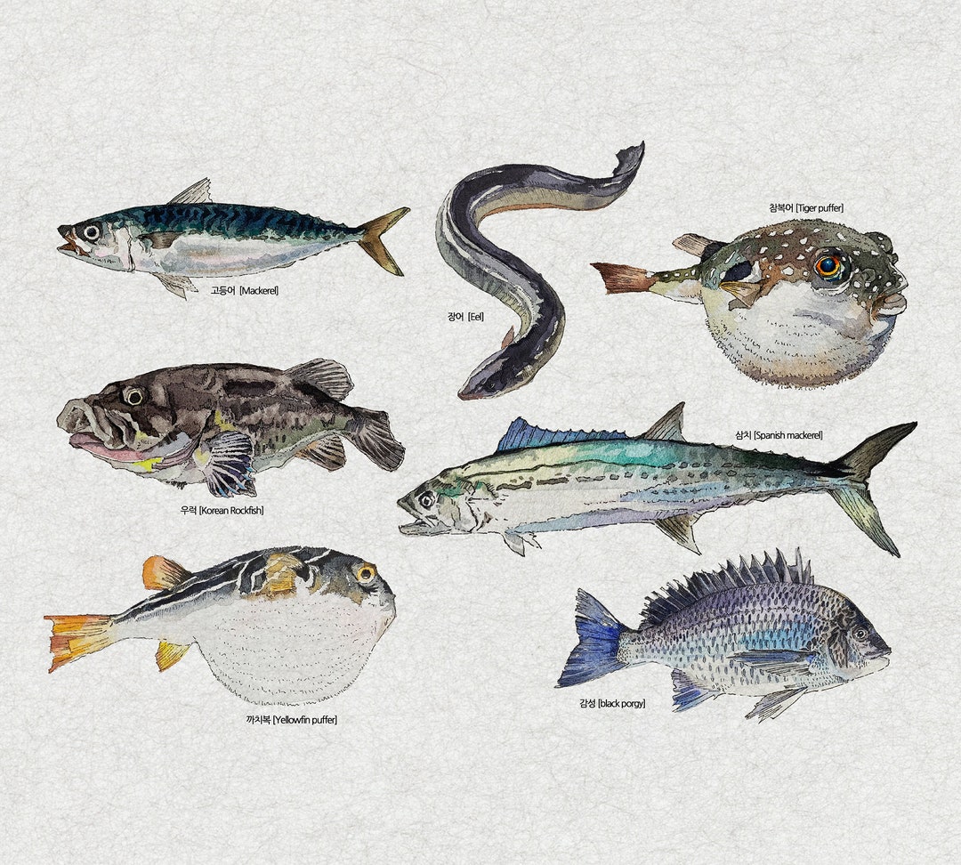 PRINTABLE Fish Watercolor Print, Fish Poster, Fish Painting, Fish ...