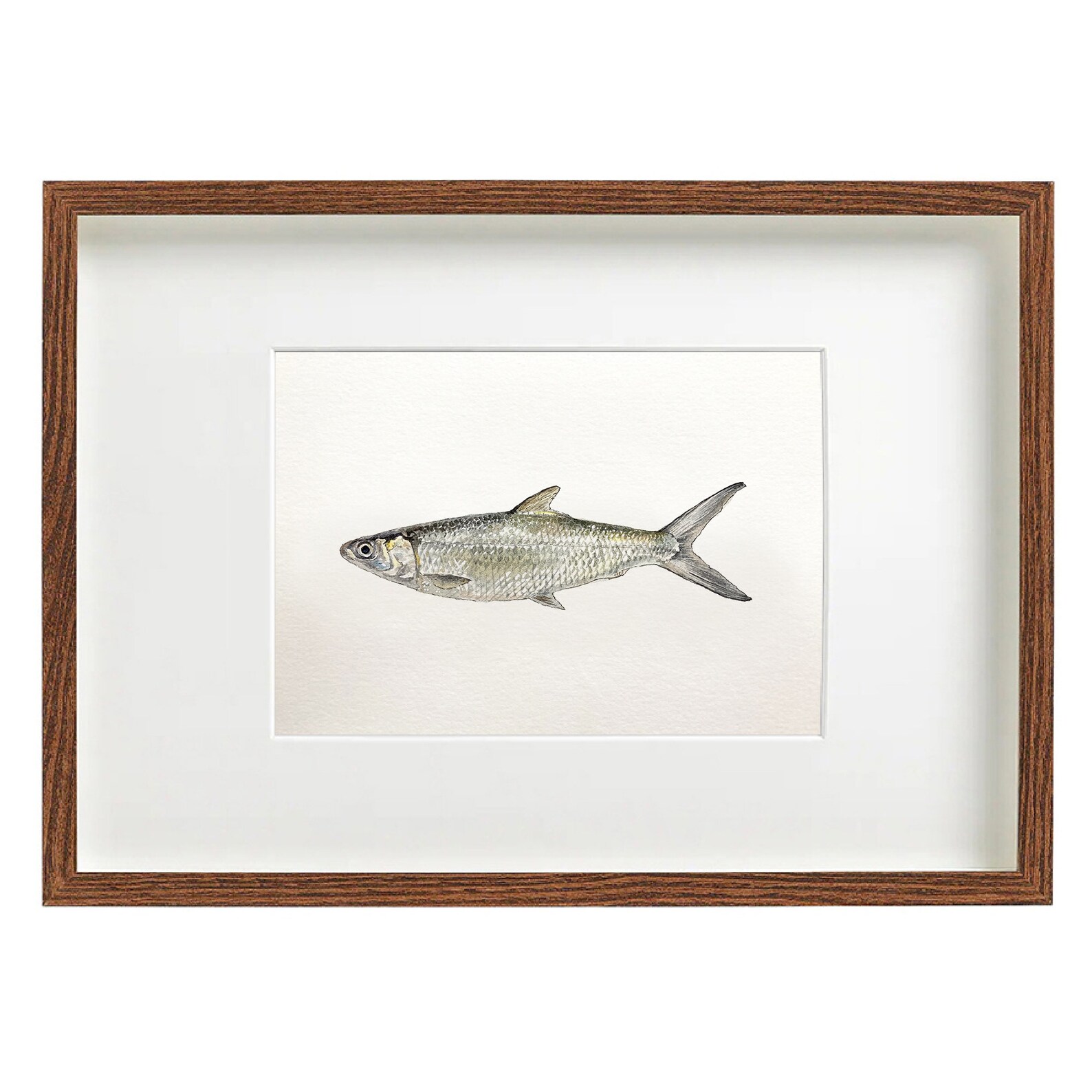 PRINTABLE Fish Watercolor Print, Ocean Fish, Vintage Poster, Fish ...