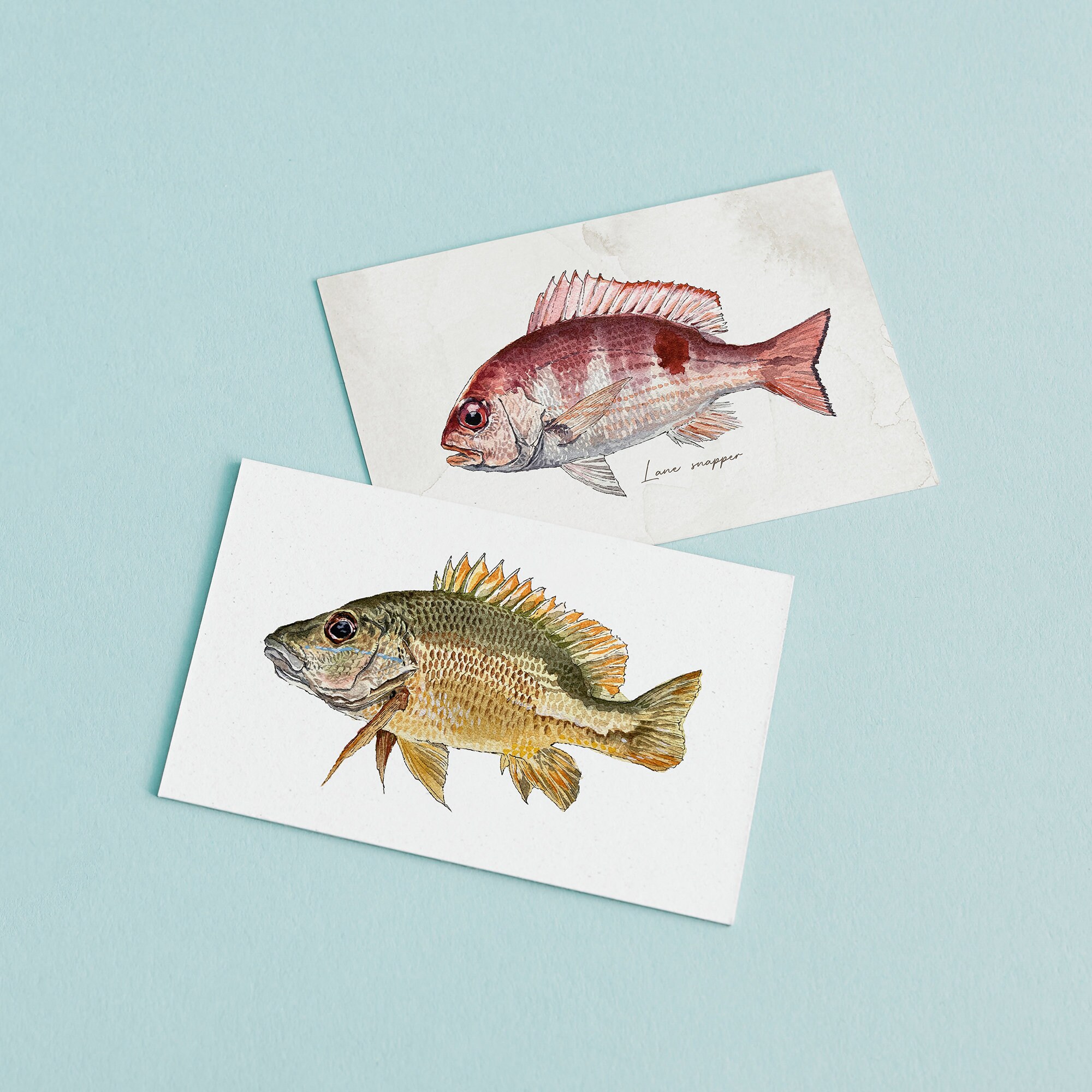PRINTABLE Fish Watercolor Print, Handwork Painting Poster, Fish ...