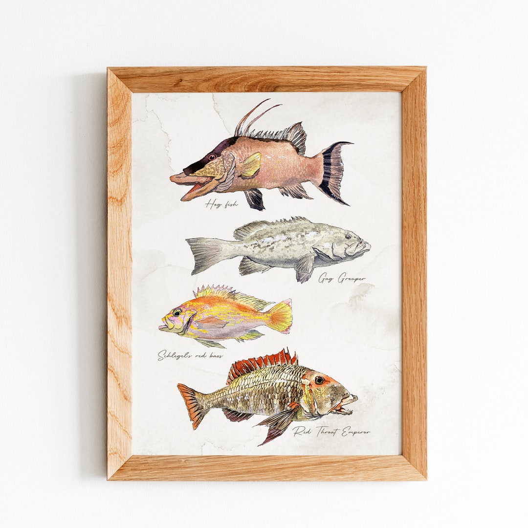 PRINTABLE Fish Watercolor Print, Handwork Painting Poster, Fish ...