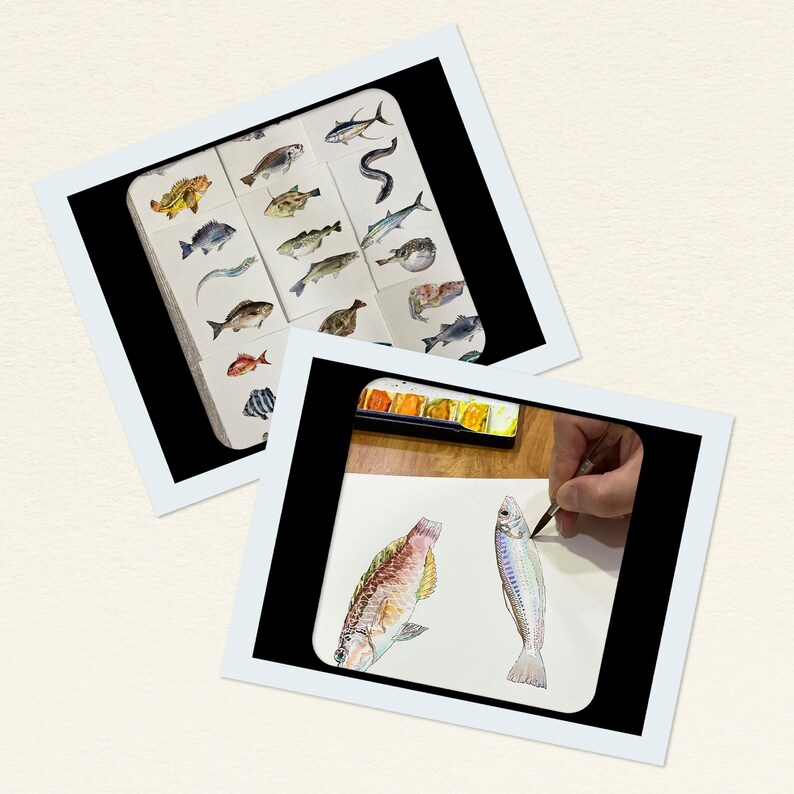 PNG Digital Bundles Fish, Downloadable Water Color Illustration, PNG ...