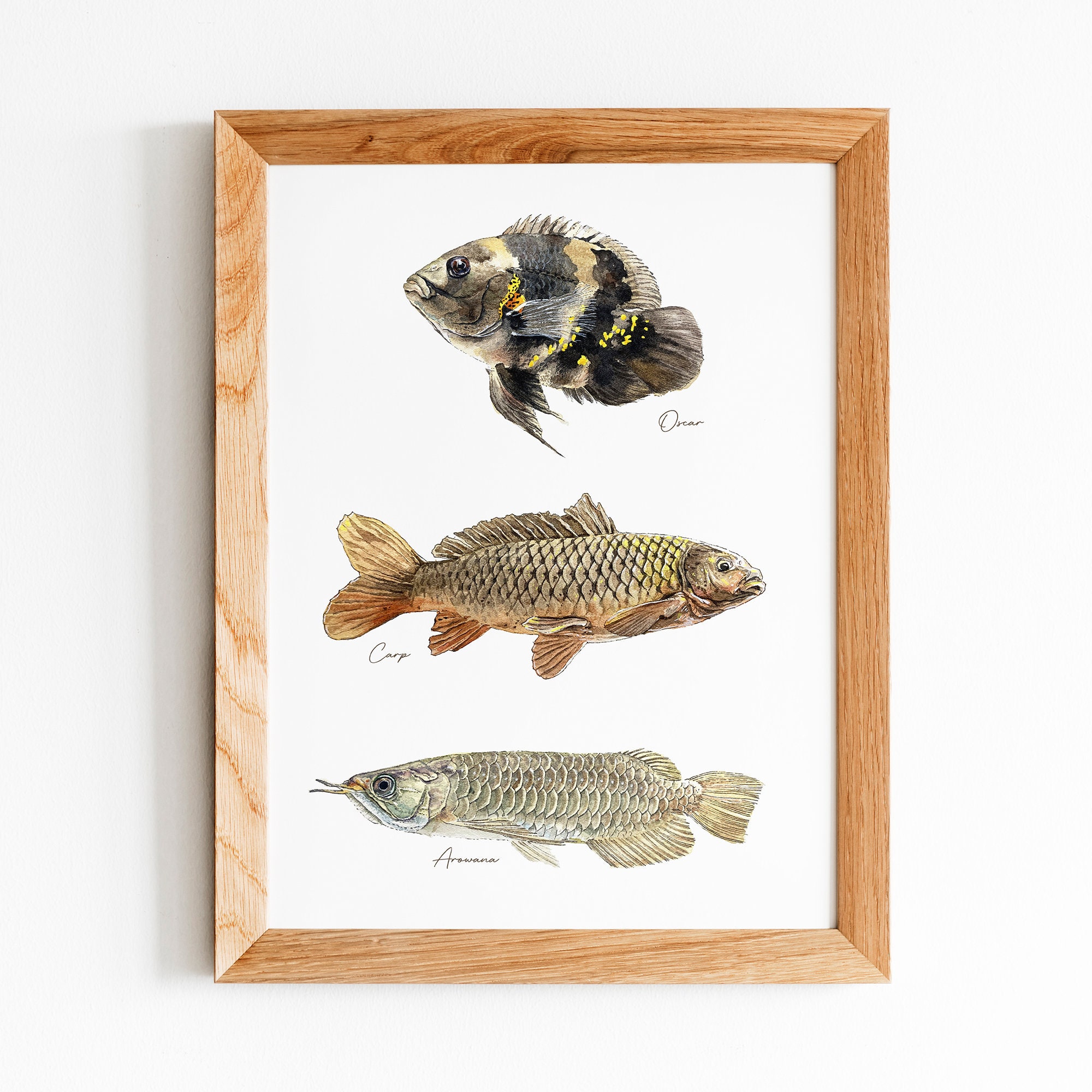 PRINTABLE Fish Watercolor Print, River Fish, Vintage Poster, Fish ...