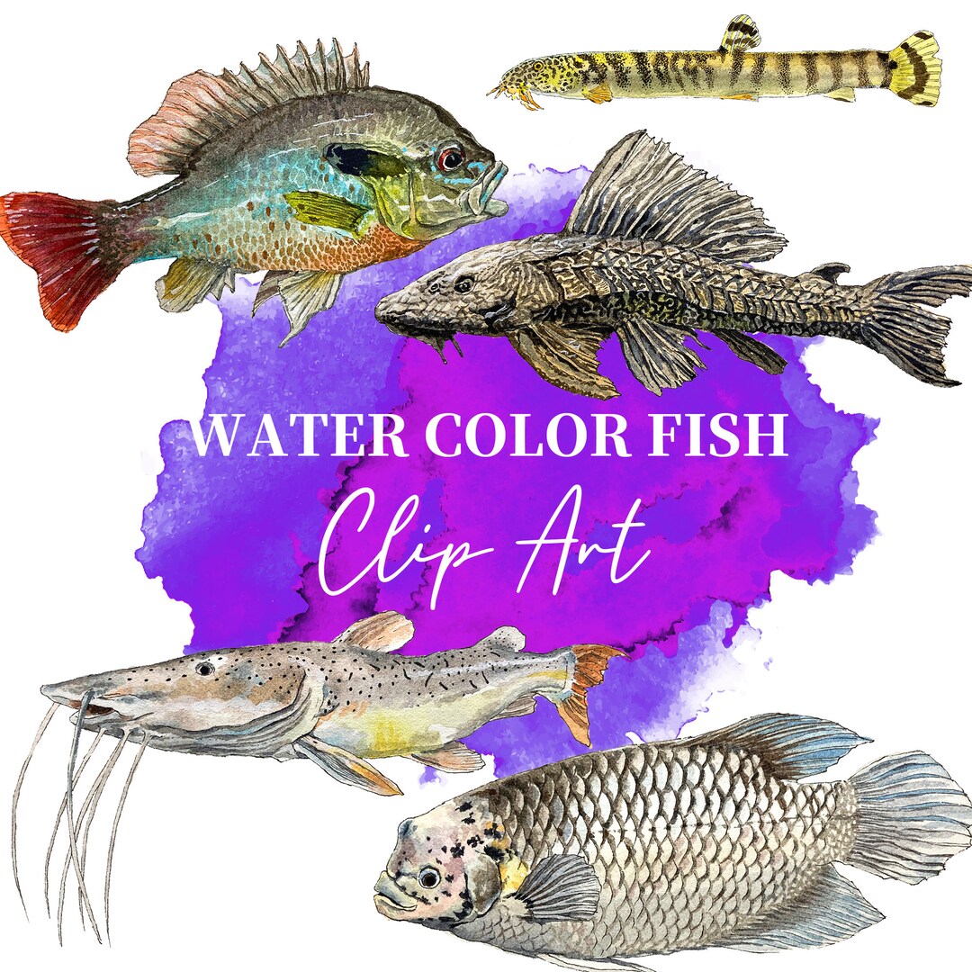 PNG Digital Bundles Fish, Downloadable Water Color Illustration, PNG ...