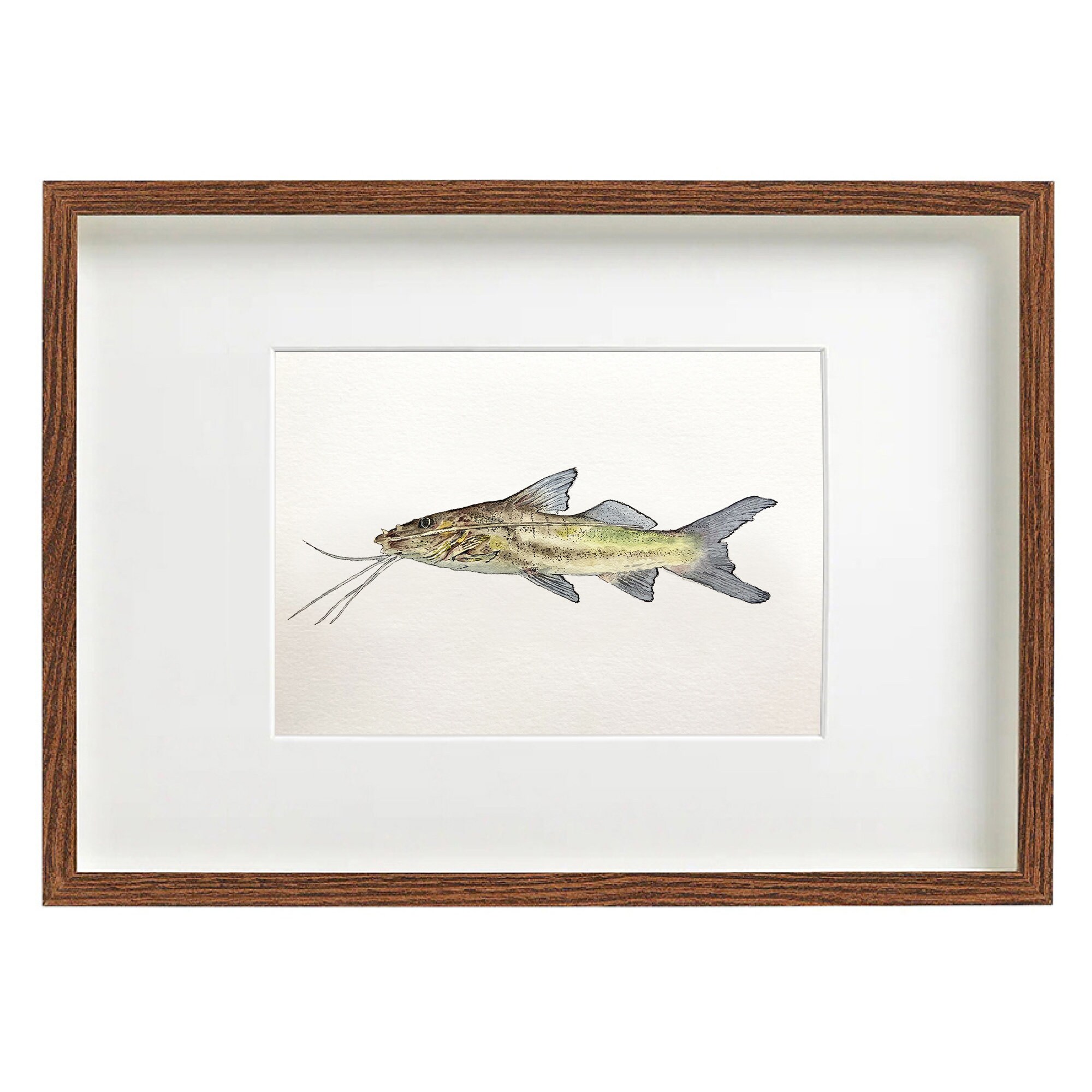 PRINTABLE Fish Watercolor Print, River Fish, Vintage Poster, Fish ...