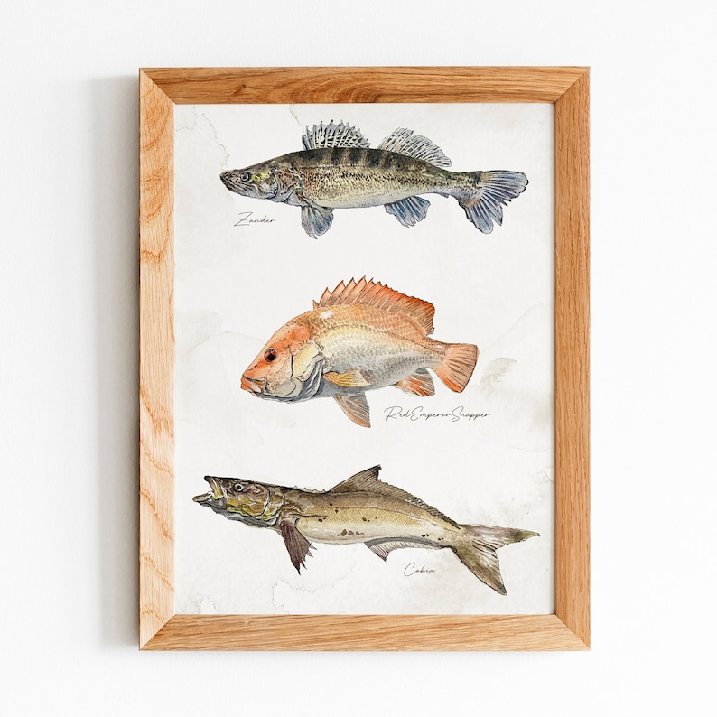 PRINTABLE Fish Watercolor Print, Small Frame Only, Vintage Poster, Fish ...