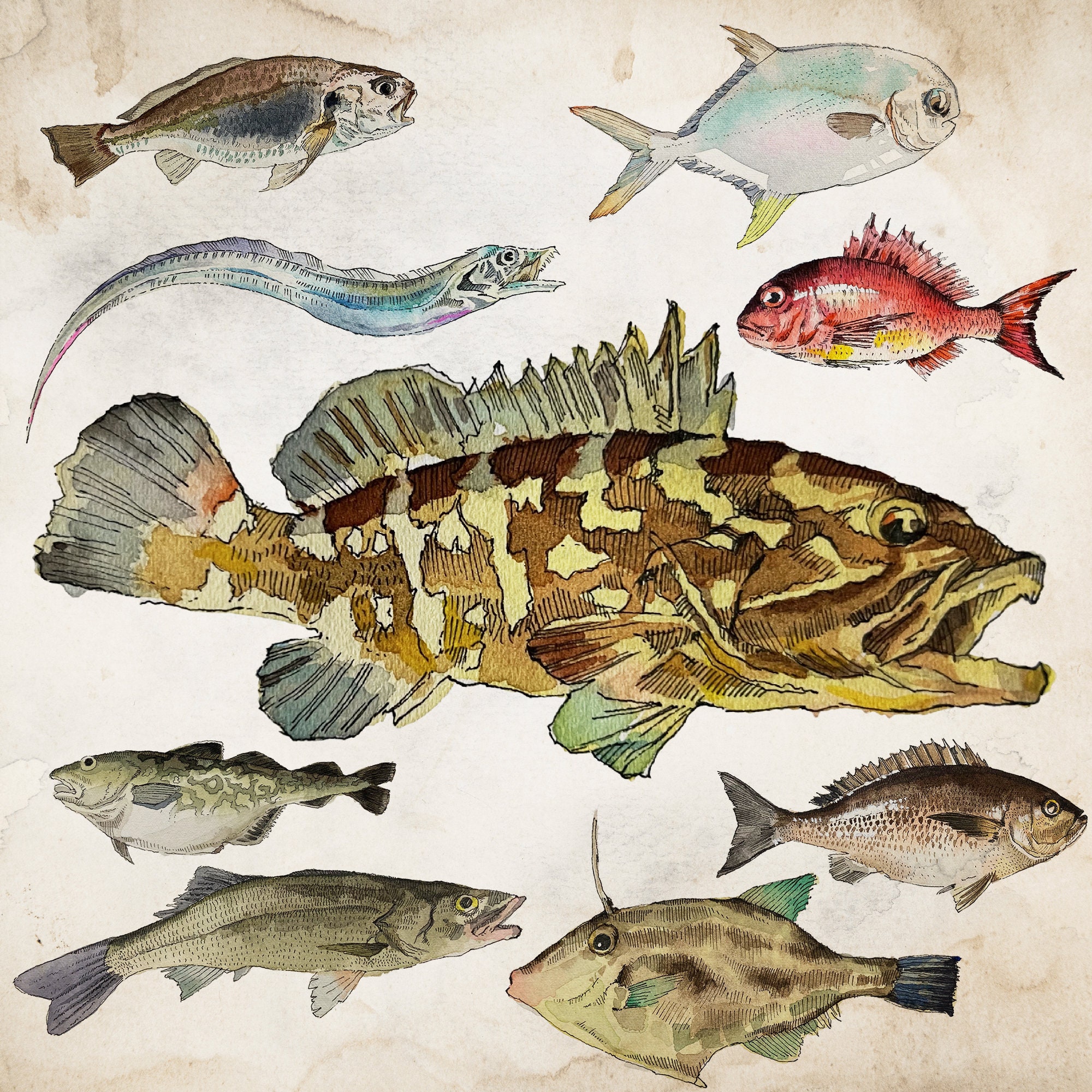 PRINTABLE Fish Watercolor Print Set of 9, Fish Painting, Small Picture ...