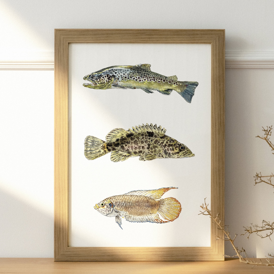 PRINTABLE Fish Watercolor Print, River Fish, Vintage Poster, Fish ...