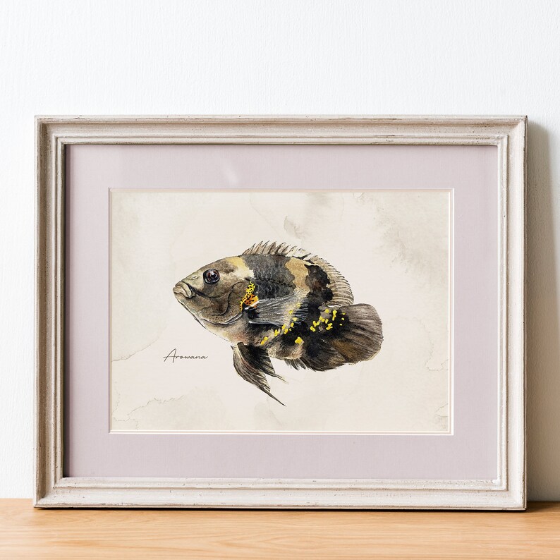 PRINTABLE Fish Watercolor Print River Fish Vintage Poster - Etsy