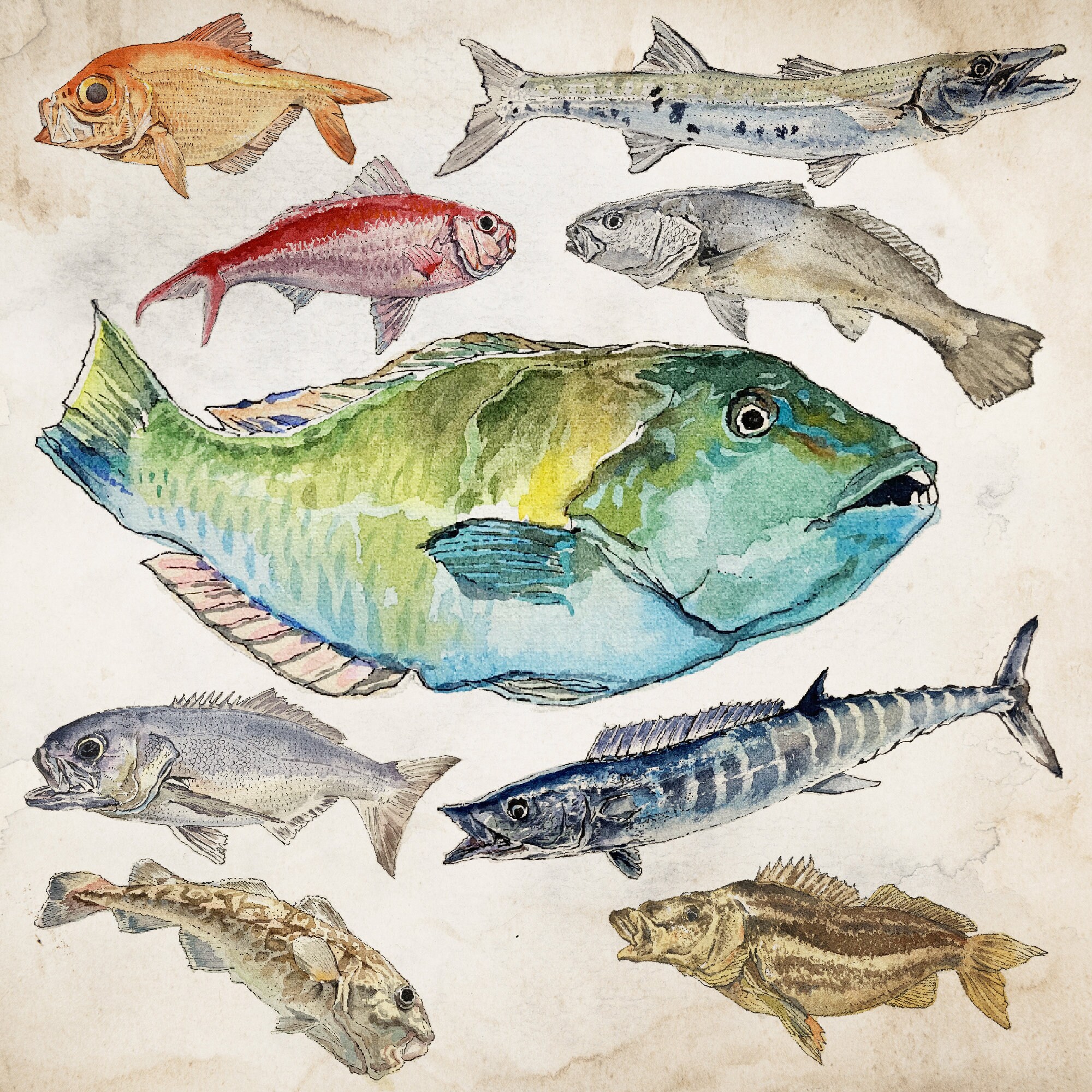PRINTABLE Fish Watercolor Print Set of 9, Fish Painting, Small Picture ...