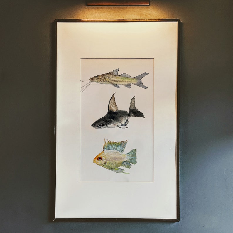 PRINTABLE Fish Watercolor Print River Fish Vintage Poster - Etsy