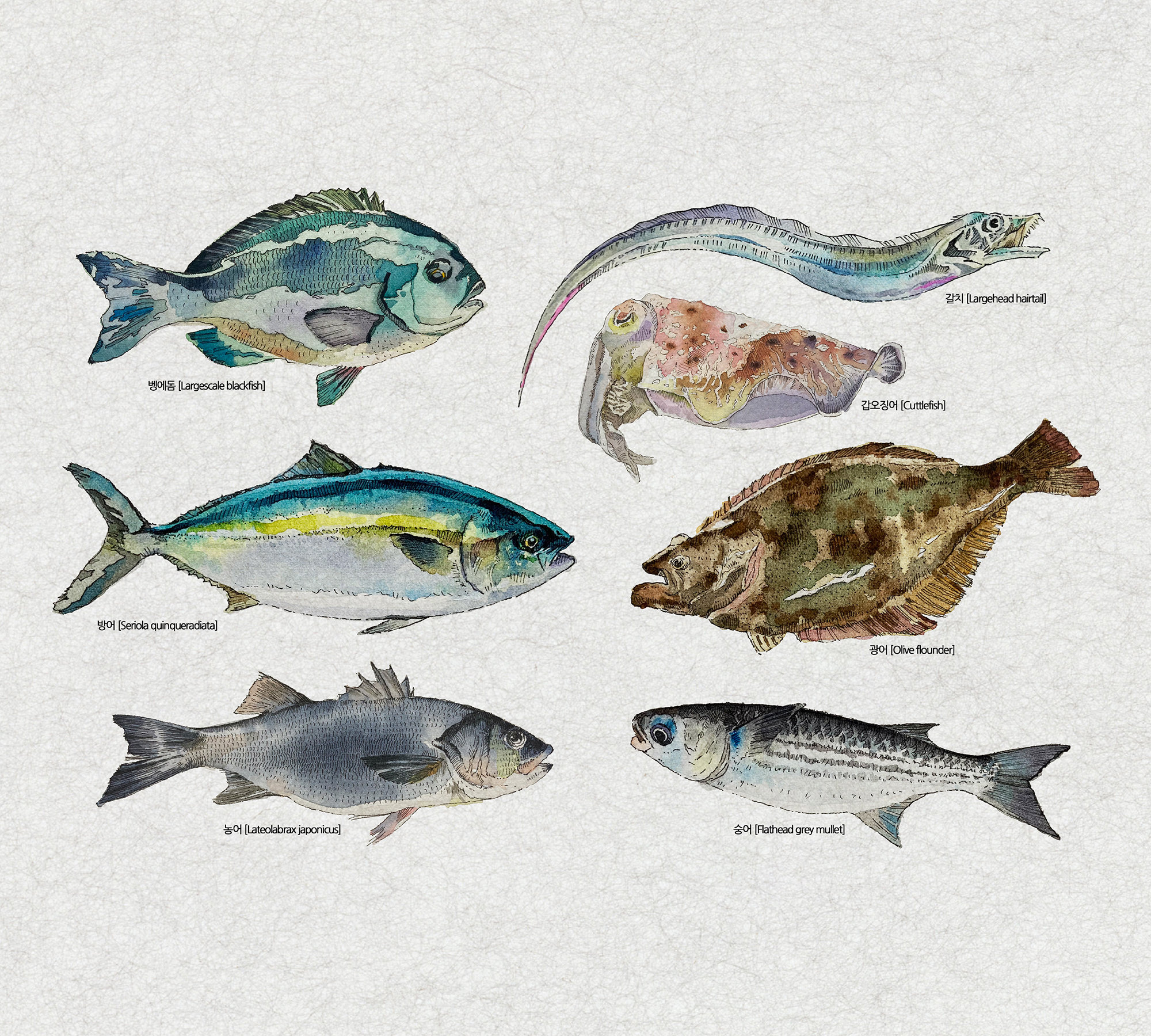 PRINTABLE Fish Watercolor Print, Fish Poster, Fish Painting, Fish ...