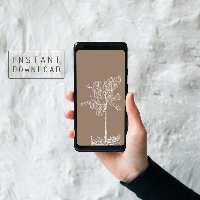 Tropical Plant Wallpaper, Botanical Leaves iPhone Wallpaper, Monstera ...