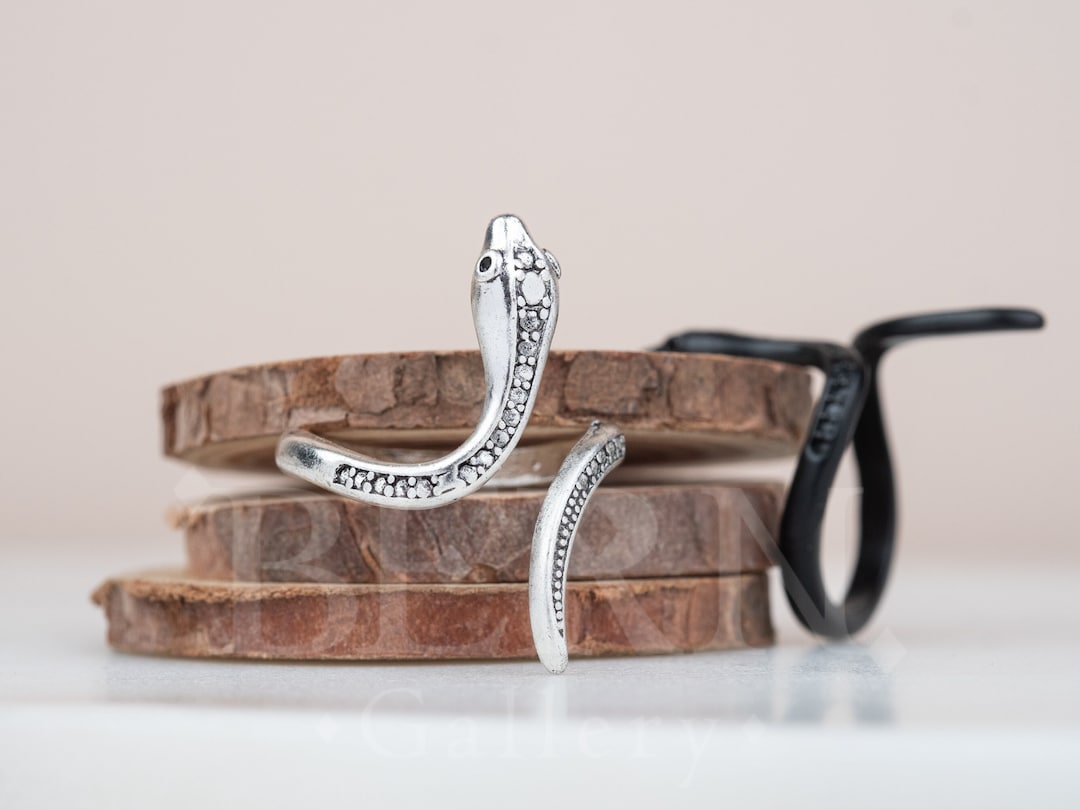 Vintage Snake Rings • Serpent Band • Boho • Gothic • Punk • Silver Ring ...