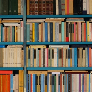 Zoom Virtual Backgrounds Reading Recess Backdrop Office - Etsy