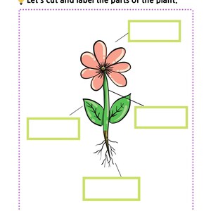 INSTANT DOWNLOAD / Science Activities, Kinder, 1st 2nd Grade, Plants ...