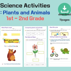 INSTANT DOWNLOAD / Science Activities, Kinder, 1st 2nd Grade, Plants ...