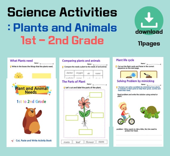 Kids Science Projects 2nd Grade