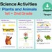 INSTANT DOWNLOAD / Science Activities, Kinder, 1st 2nd Grade, Plants ...