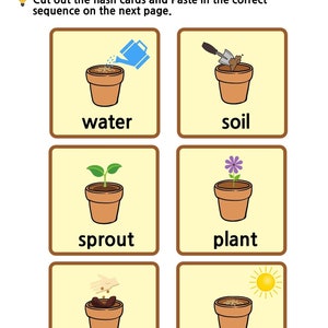 INSTANT DOWNLOAD / Science Activities, Kinder, 1st 2nd Grade, Plants ...