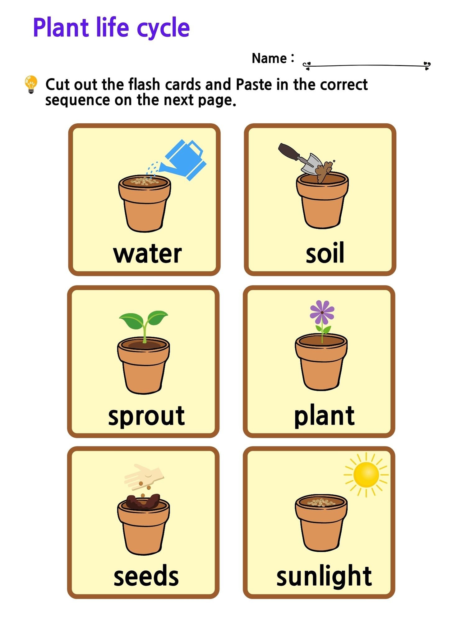 INSTANT DOWNLOAD / Science Activities, Kinder, 1st 2nd Grade, Plants ...