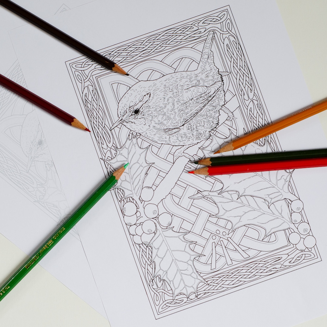 Wren Celtic Knot Work Awen Print at Home Wildlife Colouring and Drawing ...