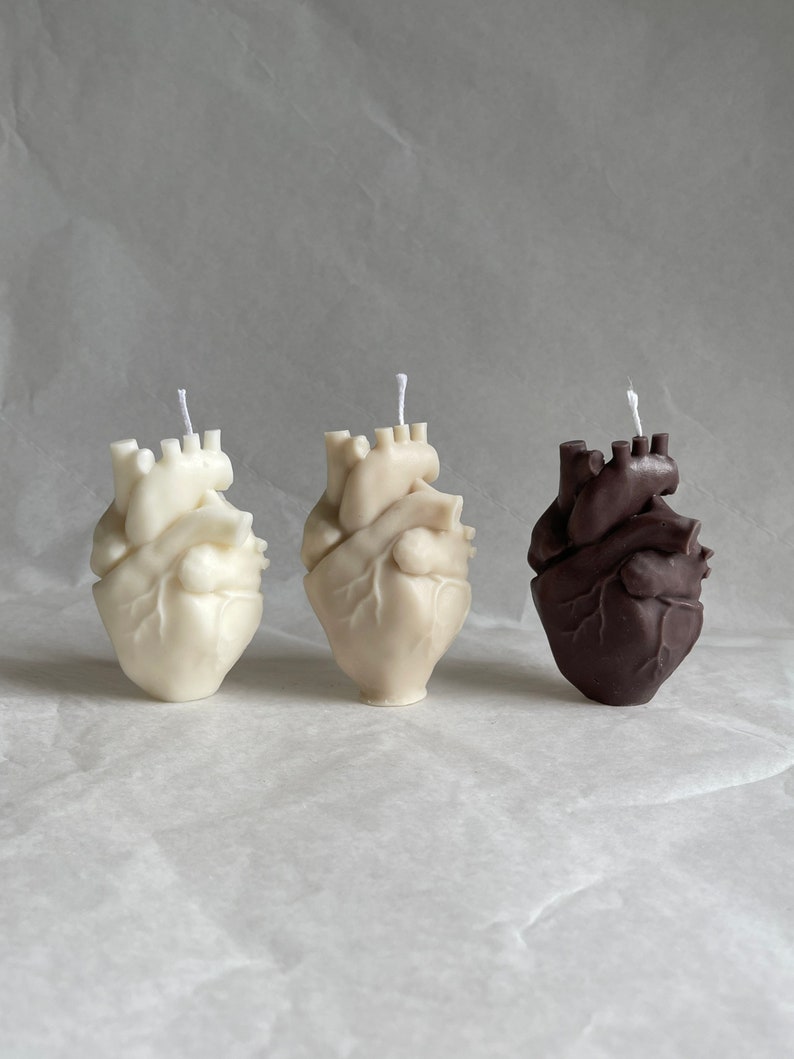 REAL HEART Candle VEGAN Anatomical Heart Candle - Etsy