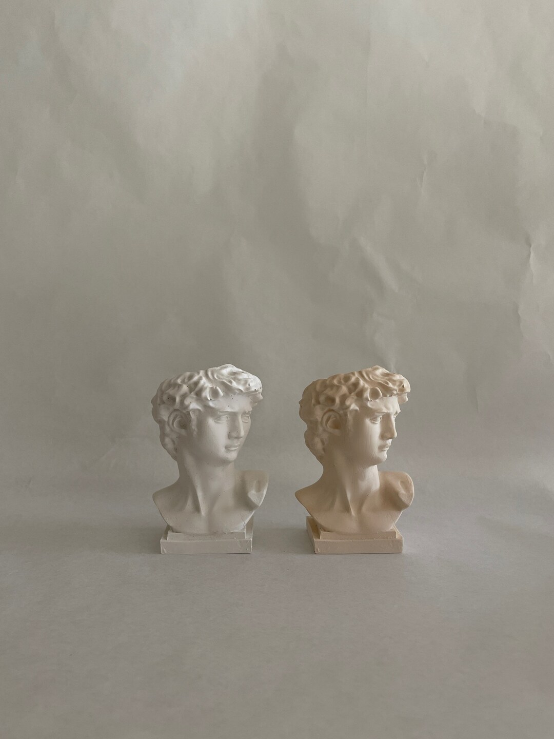 DAVID Vase VEGAN David's Head Pen Holder Statue Minimal Vessel Gift ...