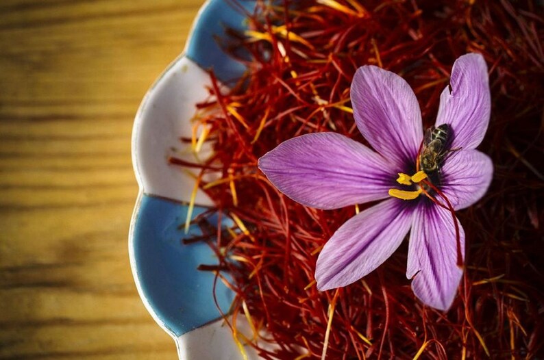 Red Saffron Organic, Crocus Sativus, Moroccan Saffron, Handpicked Red ...