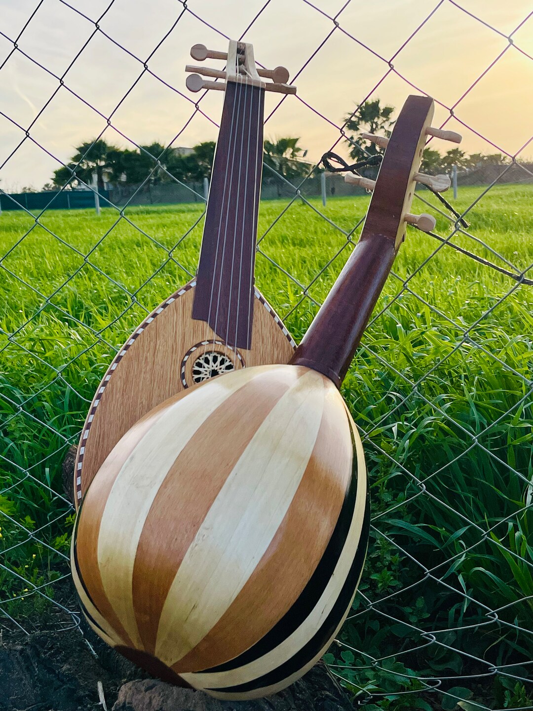 Small Lute Music Oud Instrument Strings Tunes, Musical Instrument ...