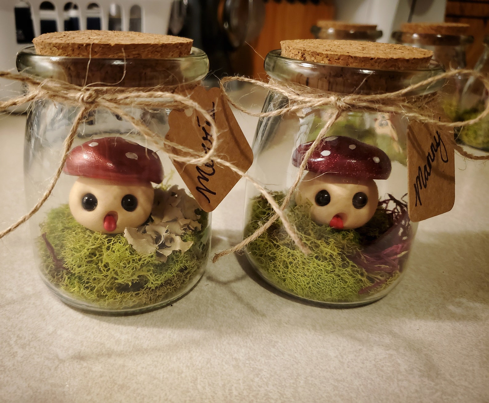 Mushling in a Jar - Etsy