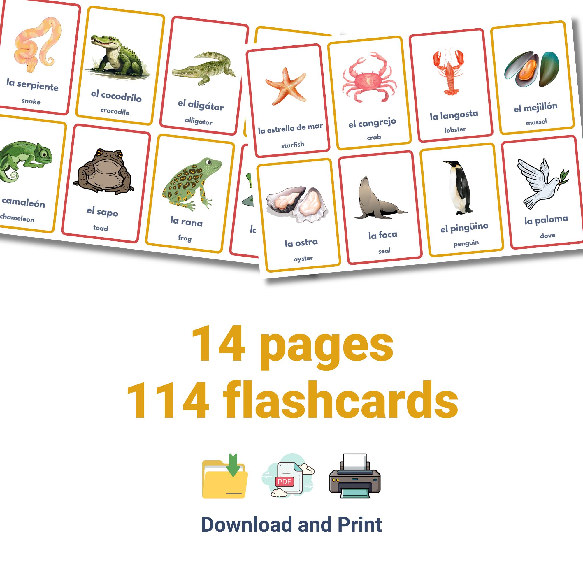 Spanish Animals Flashcards: Vocabulary Learning Cards (PDF Download - Etsy