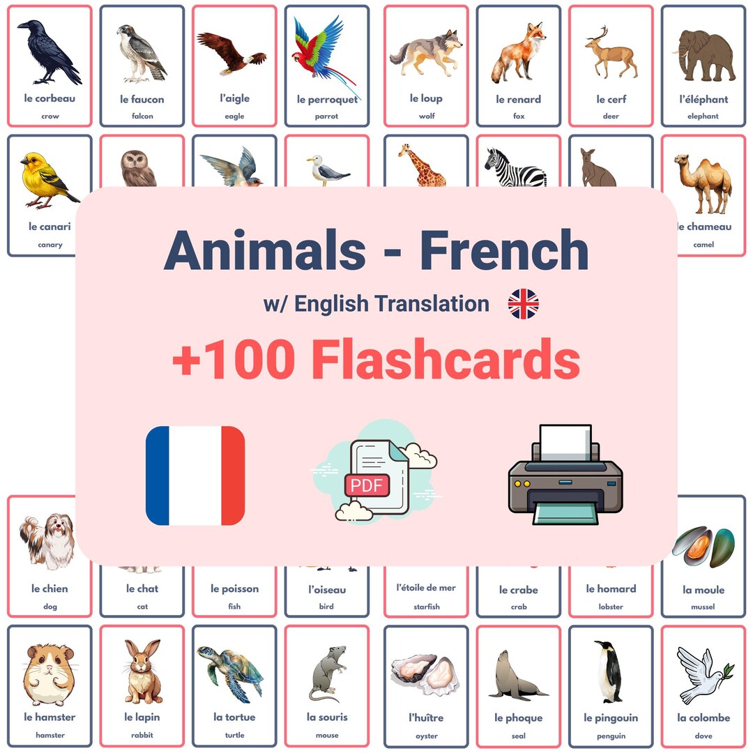 French Animals Vocabulary Flashcards – Animals and Related Words ...