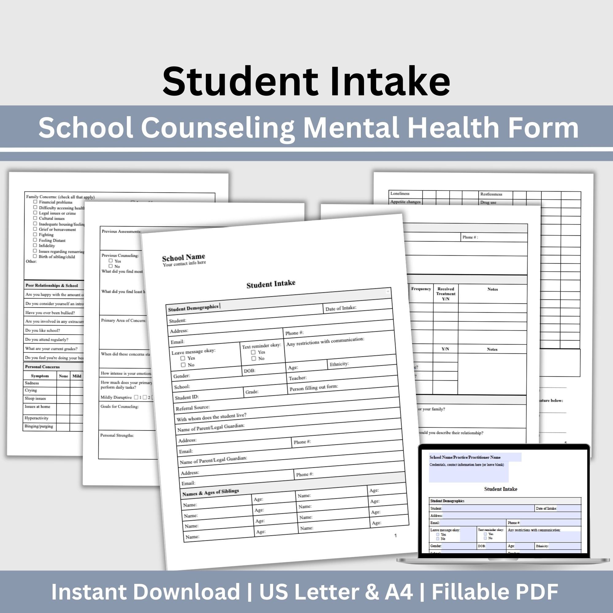 Student Intake Mental Health Form, School Social Worker, School ...