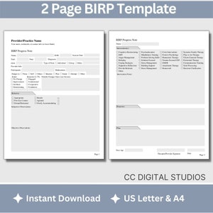 BIRP Progress Note Template: Psychotherapy & Counseling (fillable PDF ...
