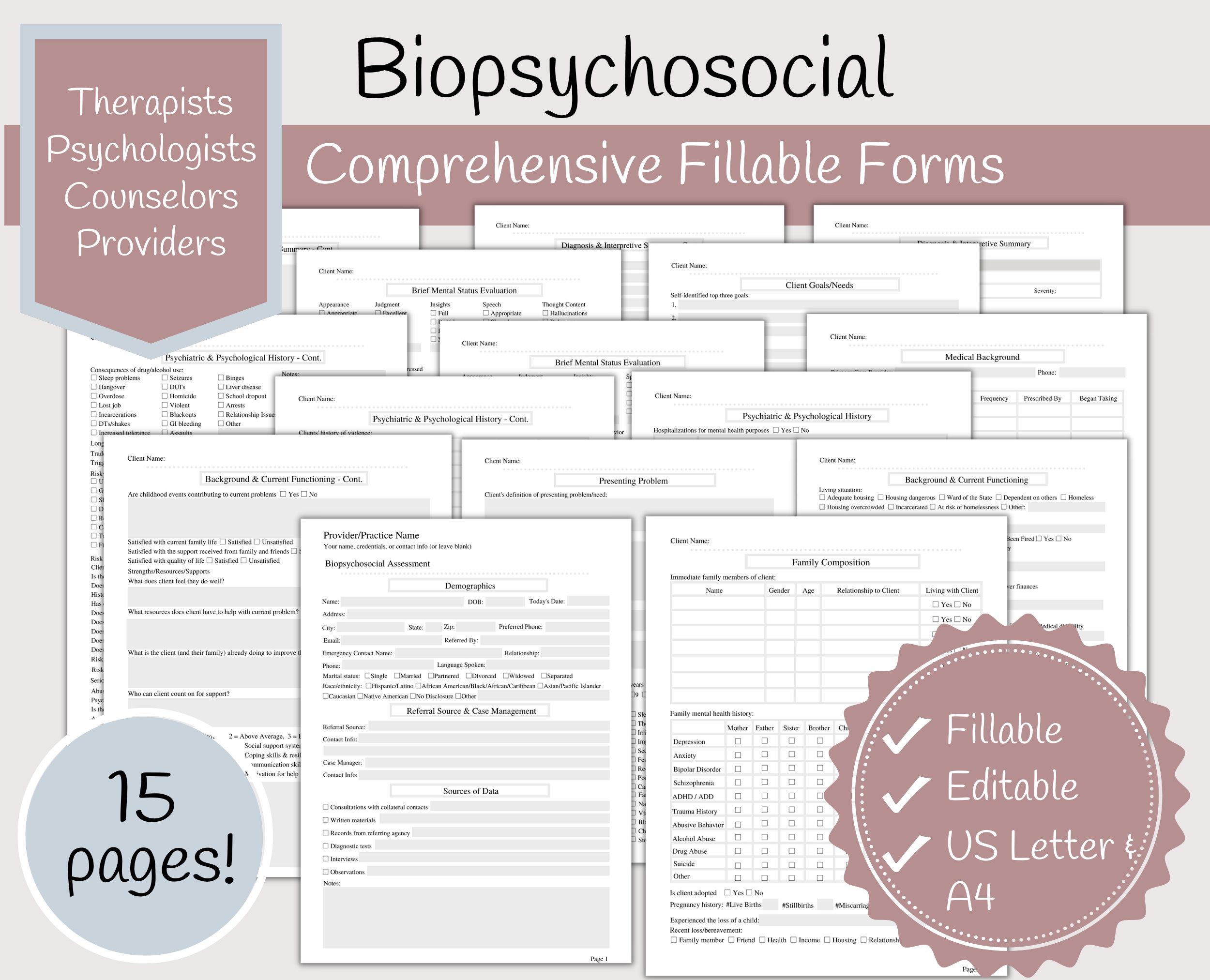 Biopsychosocial Intake Assessment Form Comprehensive Fillable - Etsy Canada