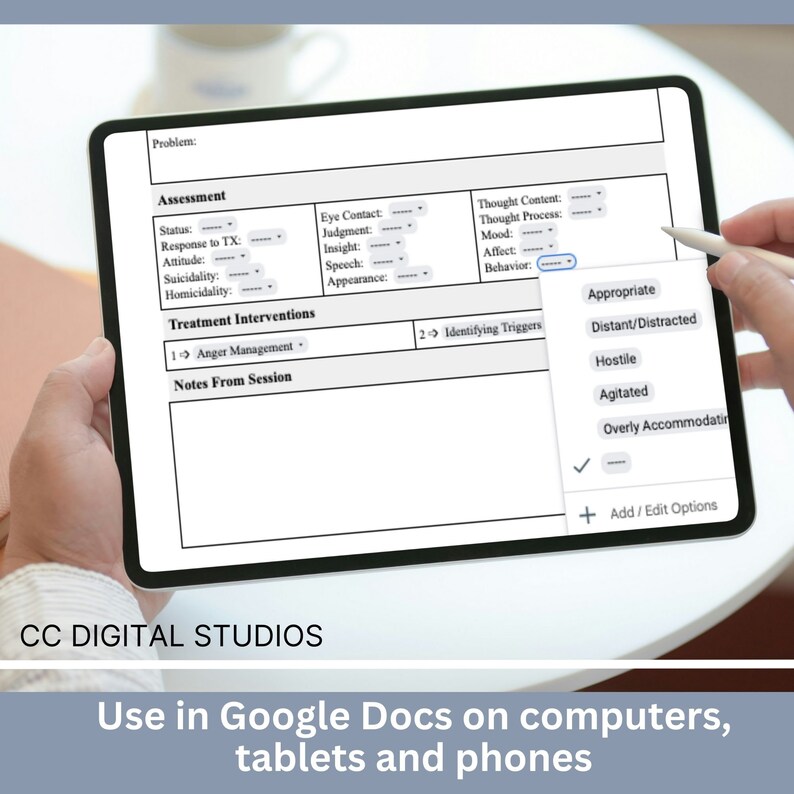 Mental Health Progress Note Template: Editable Google Doc - Etsy