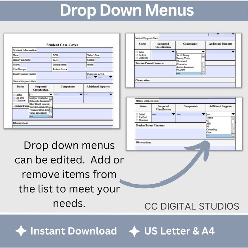 Student Assessment Template, School Psychologist, Student Case Cover ...