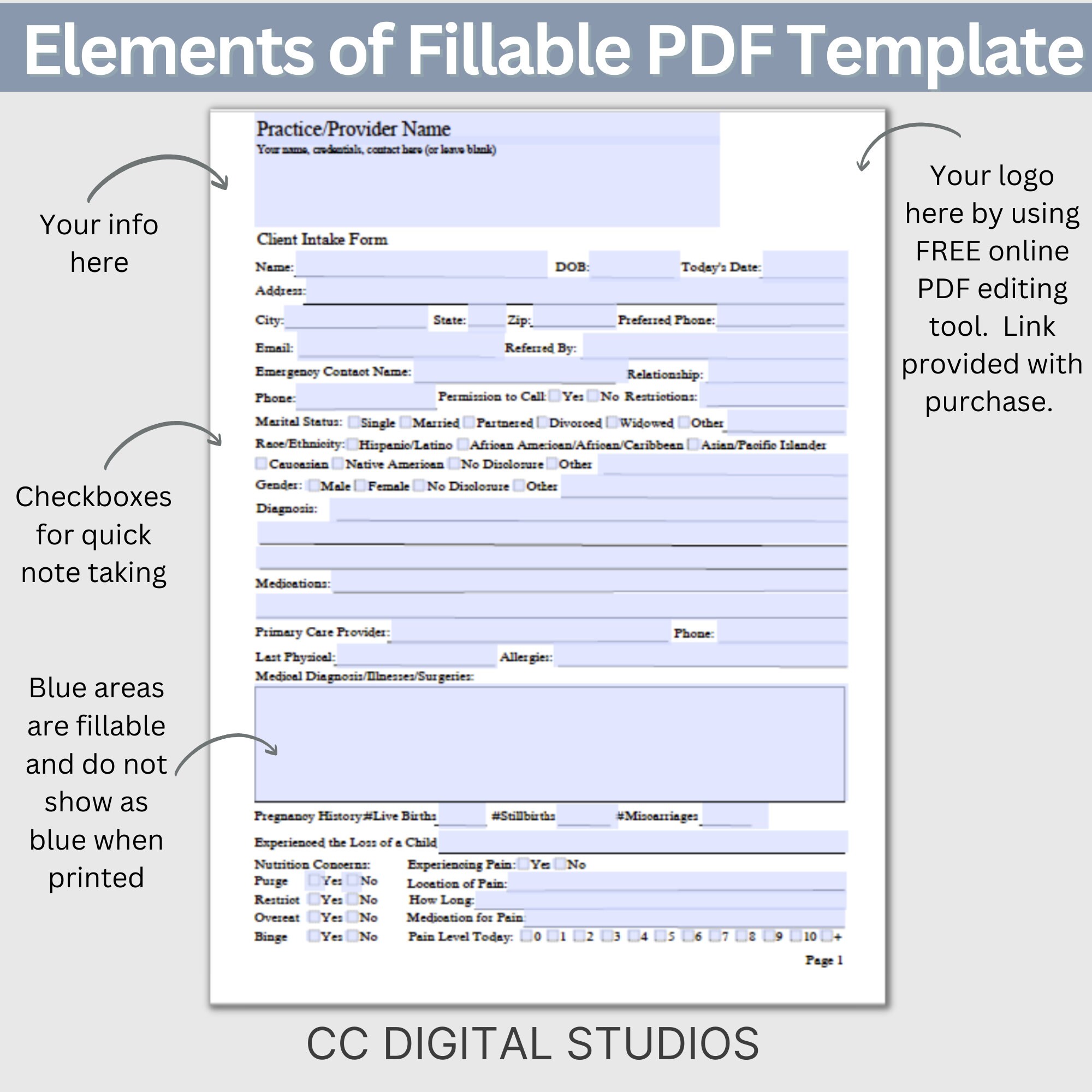 Client Intake Form Fillable PDF for Therapist Office, Private Practice ...