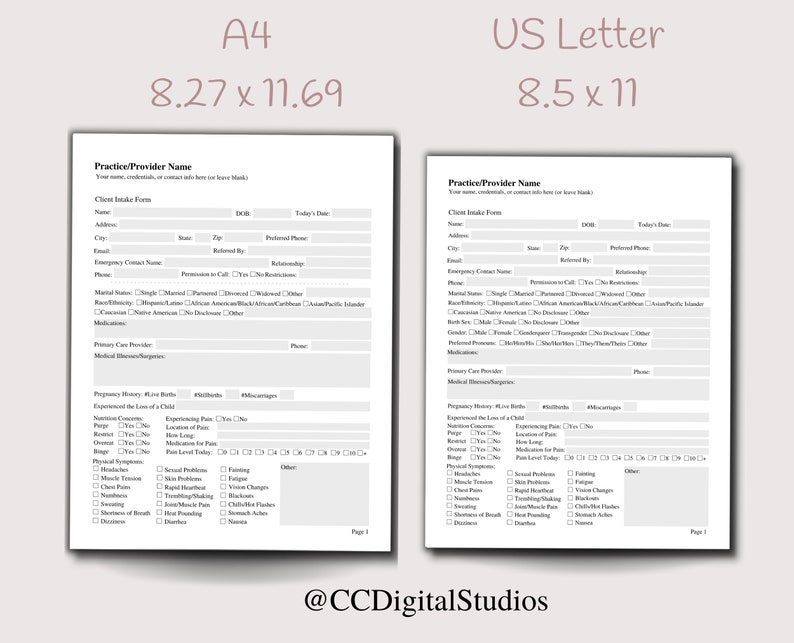 Biopsychosocial Intake Assessment Form Comprehensive Fillable - Etsy