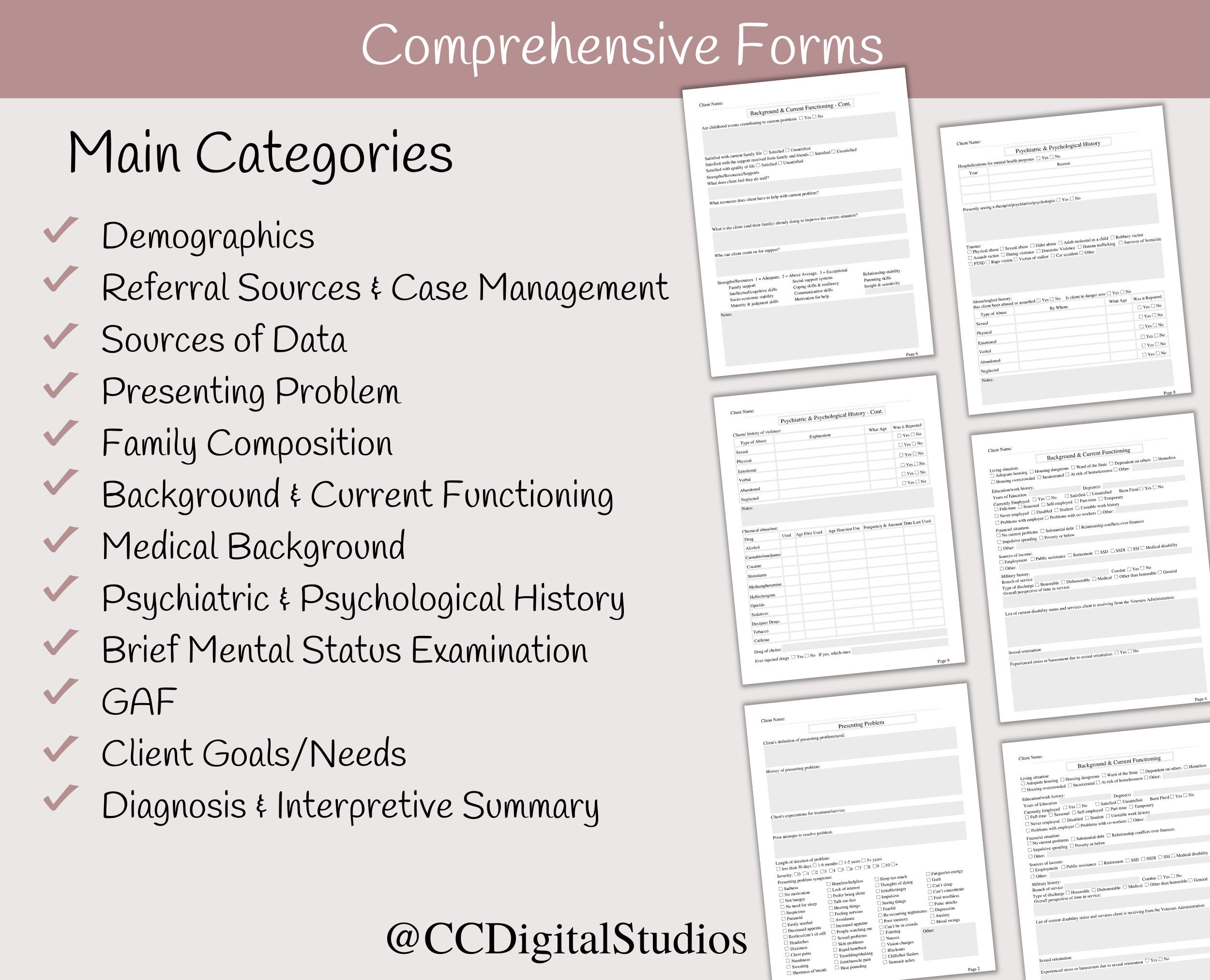 Biopsychosocial Intake Assessment Form Comprehensive Fillable - Etsy Canada