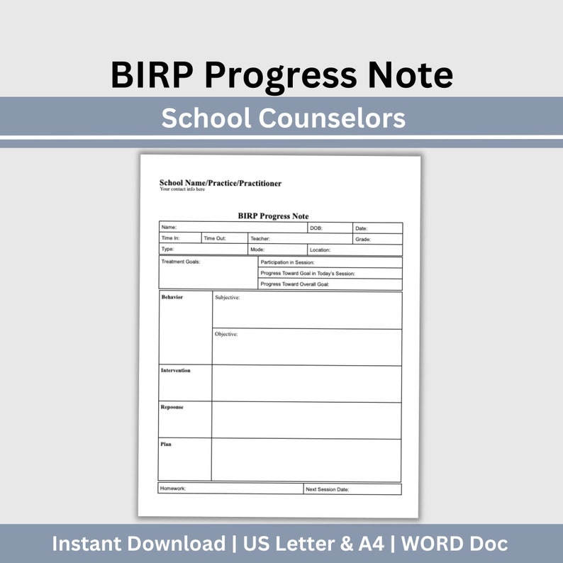 BIRP Progress Note for School Counselors, School Psychologist, School ...