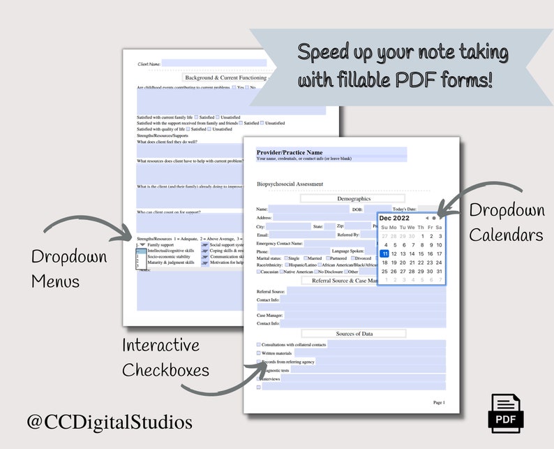 Biopsychosocial Intake Assessment Form Comprehensive Fillable - Etsy